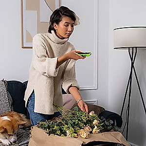 [2Pack] TCL roku tv Remote Cover,Compatible with RC280 RC282 Remote with Buttons for Netflix, Sling, Hulu, Now or Vudu/ESPN | 4K UHD Roku LED TV - 50S435 | Roku TV - 32S335 | (Luminous Green + Blue)