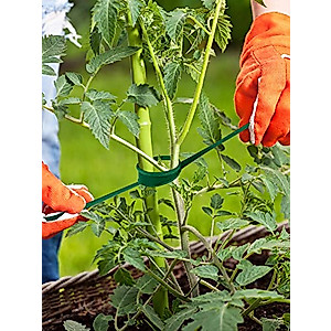 197 Ft Plant Ties for Climbing Plants, Stretching Garden Plant Tape, Soft Reusable Garden Twist Wire Strings for Tomato Cucumber Vine Plants Sapling Supports Training Staking Outdoor Indoor