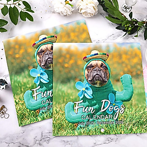 2023-2024 Wall Calendar - Cute Puppies Wall Calendar 2023-2024, Fun Dogs Wall Calendar, Jan. 2023 - Jun. 2024, 12'' x 12'' (Closed), 12'' x 24'' (Open), Dog Calendar, Hanging Hole, Holidays