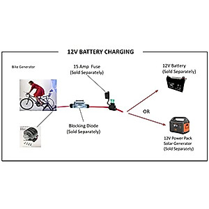 300 Watt Bicycle Generator 3/8" Belt Drive Pedal Power Pulley Dynamo