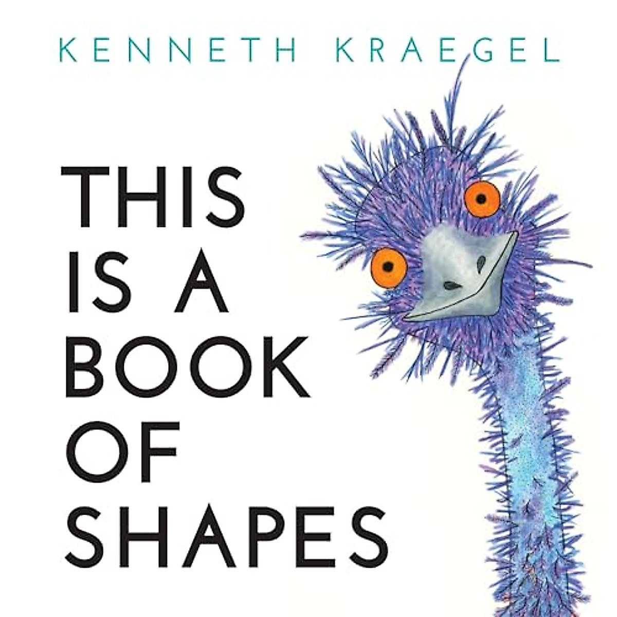 This Is a Book of Shapes