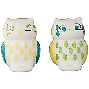 Floral Owl Salt & Pepper Shakers, Hand-painted Ceramic by Boston Warehouse, 2-Piece Set, Multicolor
