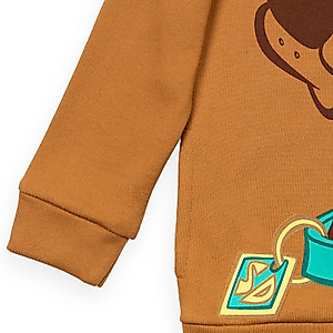Scooby-Doo Little Boys Fleece Pullover Hoodie Brown 6