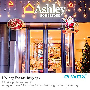 GIWOX 3D Hologram Fan Advertising Display LED Fan, 16.5in. Holographic 3D Photos and Videos - 3D Naked Eye LED Fan Best for Store, Shop, Bar, Casino, Holiday, Events Display