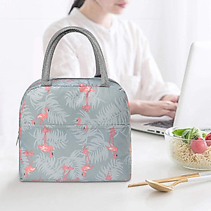 Kasqo Lunch Box Bag for Kids, Insulated Cooler Bag Boys and Girls Durable Foldable Lunch Tote Children’s Thermal Bag with Front Pocket for School Picnic Travel in Cute Flamingo