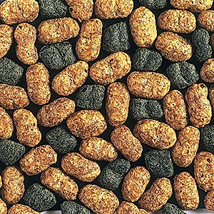 Hikari Micro Wafers for Pets, 1.58-Ounce (2 Pack)