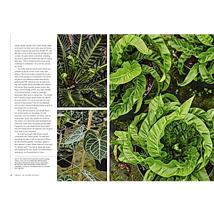 Terrain: The Houseplant Book: An Insider’s Guide to Cultivating and Collecting the Most Sought-After Specimens