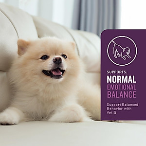 VetIQ Calming Support Supplement for Dogs, Calming Chews Help Manage Stress and Promote Relaxation, Anxiety Relief for Dogs, Made in The USA, 60 Count