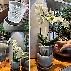 Tialero Orchid Pot, 12 Pack Orchid Pots with Holes, 5.5in and 4.5in Clear Orchid Pots for Repotting, Breathable Slotted Orchids Planter, Plastic Flower Plant Pot Indoor