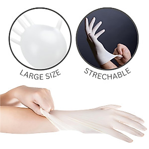 SAFEGUARD Latex Powder Free Gloves, Large, 100 Count (Pack of 1),White
