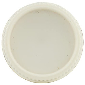 Burts Bees Elderberry Rescue Lip Balm, 0.15 OZ