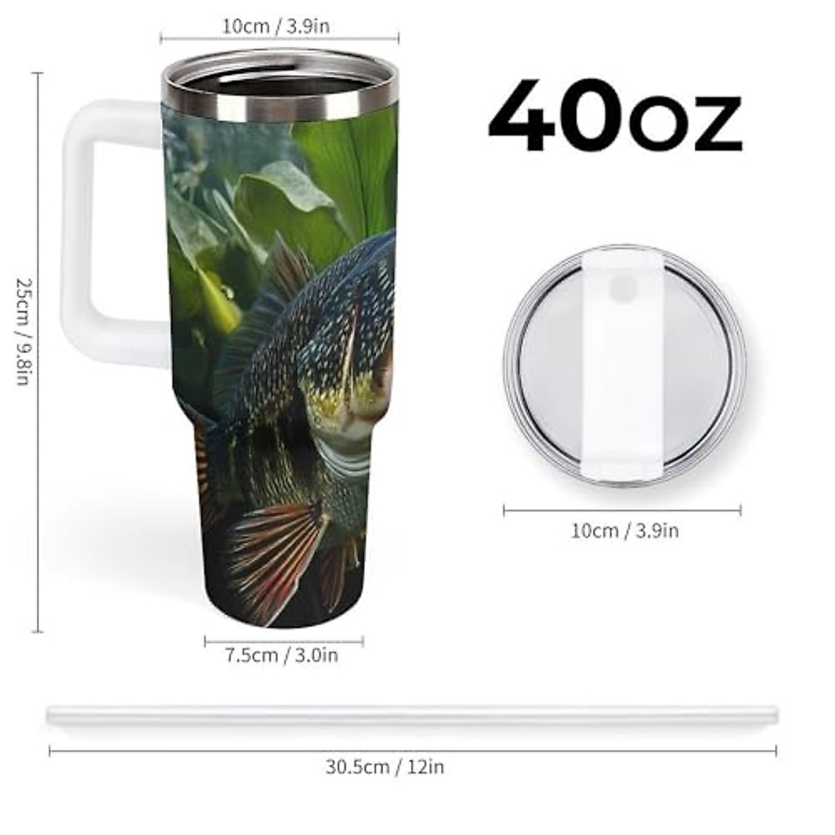 Bass Fish Print Tumbler with Handle Travel Mug Water Bottle Tea Coffee Cup White-style