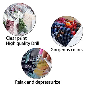 Carpaton Custom 5D DIY Diamond Painting Kits Full Drill for Adults,Personal Customized Gifts,Personalized Diamond Art for Home Wall Decor (11.7x15.8inch30x40cm, Round Drill) (DP-56806)