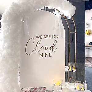 CANTLY We Are On Cloud Nine Wall Decal - Cloud 9 Baby Shower Decorations,Bachelorette Party Decorations, Bride To Be Party Supplies, Cute Baby Shower Decor, Bridal Shower, Engagement Photobooth Backdrop(On Cloud 9 Sticker)