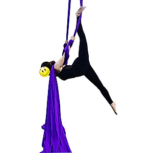 Dasking Premium Aerial Silks Equipment - Safe Deluxe Aerial Kit (Dark Purple)