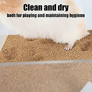 kathson Hamster Bath Sand 5.5LB Gerbil Dust Free Potty Litter Bathing Sand for Guinea Pig Chinchilla Rat Mice Small Animal