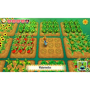 Story of Seasons (Nintendo 3DS)