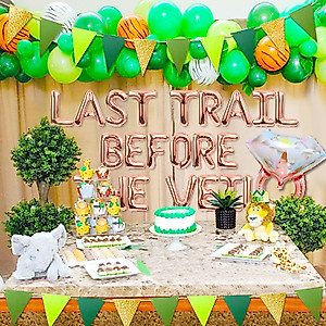 Rose Gold Mountain Bachelorette Party Decorations Last Trail Before The Veil Banner Balloon Hiking Bachelorette Party Decorations Supplies Mountain Wedding Bridal Shower