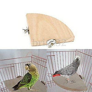 NC Wooden Coin Parrot Bird Cage Perches Stand Platform Pet Budgie Hanging Toy Pet Toys (Color : L)