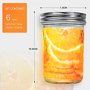 ZenTong Infi 8 oz Mason Jars,6 Pack Regular Mouth Glass Jars With Lid Salad Jars 8 oz Canning Jars for Pickling Canning Home Decor Overnight Oats Fruit Preserves Jam Jelly Food Storage DIY Projects