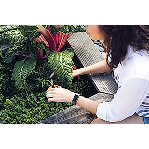 Fitbit Charge 3 Fitness Activity Tracker, Rose Gold/Blue Grey, One Size (S and L Bands Included)