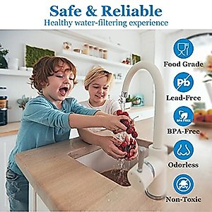 Combo Pack FX12P and FX12M or TFM-24 Water Filter Replacement, Compatible GE RO Set GXRM10RBL GXRM10G Reverse Osmosis Systems, 2 x Carbon Block Filters, 1 x 50 GPD RO Membrane Filter