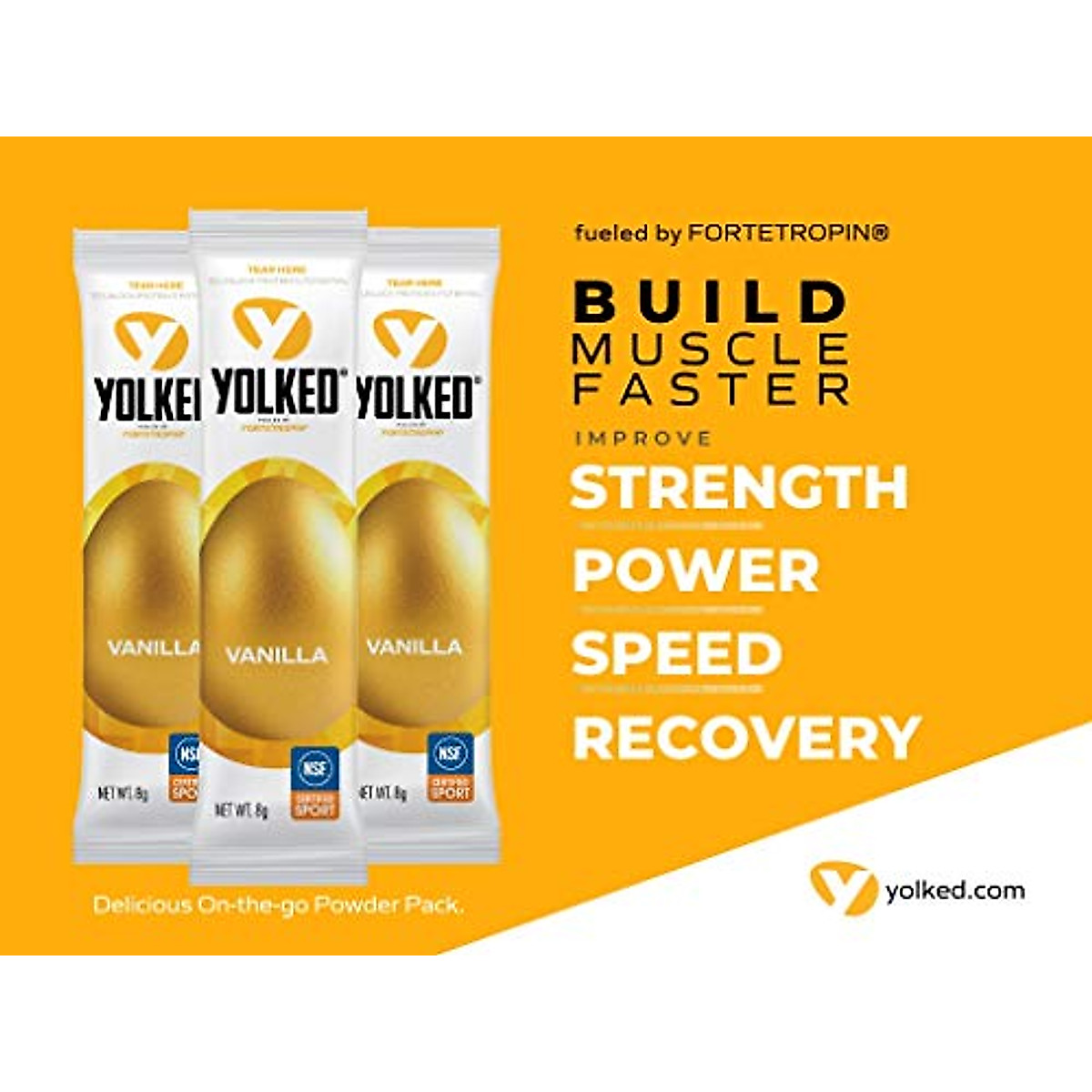 YOLKED - Clinically Tested and NSF-Certified All Natural Muscle Building Supplement - Increase Lean Muscle, Reduce Muscle Loss, and Improve Recovery with Protein’s Perfect Partner, 30 Servings
