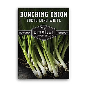 Survival Garden Seeds - Tokyo Long White Onion Seed for Planting - Pack with Instructions to Plant and Grow Asian Green Onions in Your Home Vegetable Garden - Non-GMO Heirloom Variety