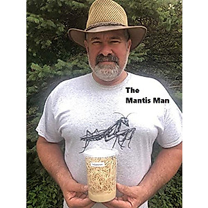 TruBlu Supply Live Chinese Ootheca Praying Mantis Egg Case + Crystal Clear Hatching Habitat Incubator Kit (Bonsai Tree),Mixed