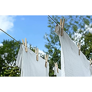 Teal Turtle Wooden Clothespins with Spring for Hanging Laundry, Arts & Crafts, School Projects, Or Bag Clips Set of 20