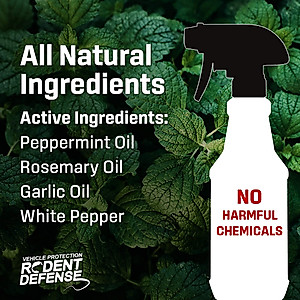 Exterminators Choice Rodent Defense Vehicle Protection Spray | 32 Ounce and 8 Large Glue Traps | Natural, Non-Toxic Mouse and Rat Repellent | Quick, Easy Pest Control for Cars and Trucks | Safe Around Kids & Pets