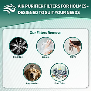 EGR HAPF300AH Remover True HEPA Filter, EGR AER1 Filters Replacement for Holmes Air Purifier, Parts HAPF300AH-U4R & HAP242-NUC - 2 True HEPA + 4 Pre Filter