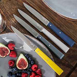 OPINEL Set of 4 table knives N°125 Bon Appetit Celeste