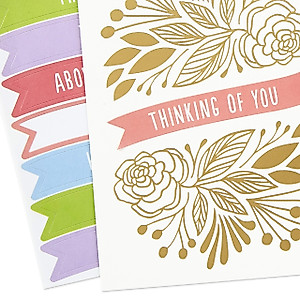 Hallmark Customizable All Occasion Greeting Cards (12 Cards with Envelopes and Stickers) Gold Foil Floral for Birthday, Thank You and Thinking of You
