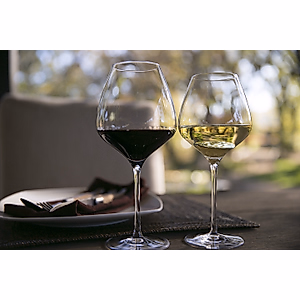 The One Wine Glass - Perfectly Designed Shaped Wine Glasses For all Types of Wine By Master Sommelier Andrea Robinson, Premium Mixed Set of 1 Red Wine Glass and 1 White Wine Glass,