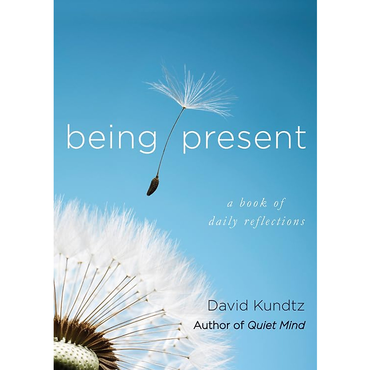 Being Present: A Book of Daily Reflections (AA Daily Reflections Book, Daily Reader Addiction, Present Moment Awareness, and for Readers of The Book of Awakening or Reflections of a Man)