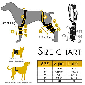 Pacify Dog Knee Brace, Dog Leg Braces for Back Leg, Dog Knee Brace for Torn ACL Hind Leg for Keep The Joint Stable and Warm(Large)