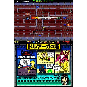 Namco Museum - Nintendo DS (Renewed)