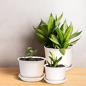 12 Inch 10 Inch 9 Inch Plant Pots, Rifny Extra Large Planters for Indoor Plants with Drainage Holes and Tray, Set of 3 Flower Pots Modern Decorative Planter for House Garden Plants and Flowers (White)