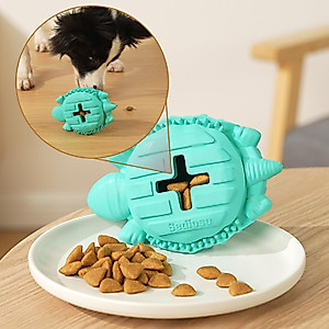 Sedioso Dog Chew Toys for Aggressive Chewers Large Breed, Tough Dental Chews Toy, Toothbrush Medium Dogs Teeth Cleaning(Lake Green), XJYG-2022