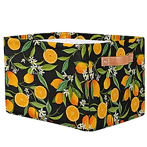 Funky Qiu Tropical Lemon Flower Storage Basket Cube Large Toys Storage Box Bin with Handle Collapsible Closet Shelf Cloth Organizer for Nursery Bedroom,15x11x9.5 in,1 Pack