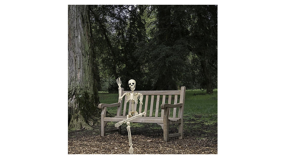 36-Inch Halloween Skeleton Decor - Realistic Posable Skeleton Prop