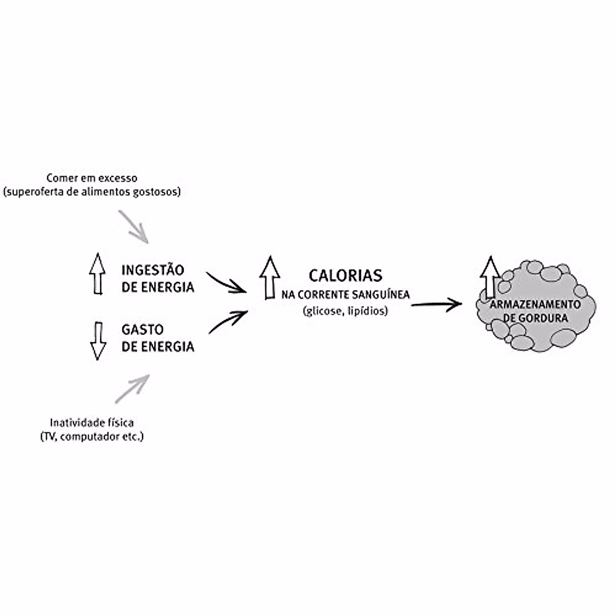Emagreça sem Fome. Controle a Gula, Reprograme as Células de Gordura e Perca Peso de Forma Definitiva (Em Portuguese do Brasil)