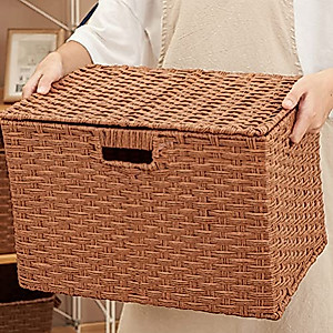 Zerodeko Rattan Storage Basket with Lid Woven Shelf Baskets Imitation Handwoven Wicker Basket Sundries Organizer Boxes Home Decor for Makeup Clothes Home Items