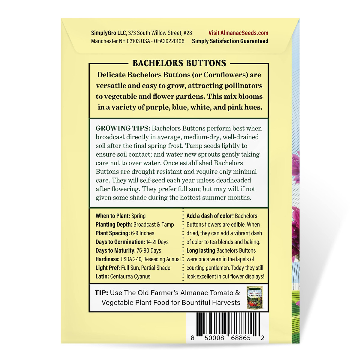 The Old Farmer's Almanac Bachelors Buttons Seeds - Approx 500 Flower Seeds - Non-GMO, Premium, Open Pollinated