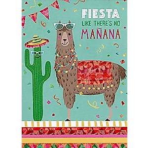Sellers Publishing RSVP Fiesta Llama and Cactus Funny/Humorous Birthday Card