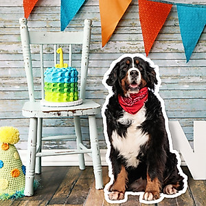 Custom Life Size Cardboard Cutout Personalized Picture Card Board Cut Outs Life-Size Funny Stand Up for Wedding, Graduation, Birthday, Christmas, Anniversary 1-6 ft