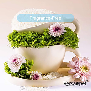 VersaPet Cassava Cat Litter, 100% Plant Based, No Dust, Natural Housebreaking, Superb Clumping, Fragrance-Free, Strong Odor Control - 14lb