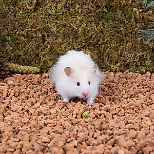 Rubor Hamster Bedding Natural Cork Granule Pet Litter for Hamster Chinchillas Gerbil Mice Degu Small Animals-No-Dust