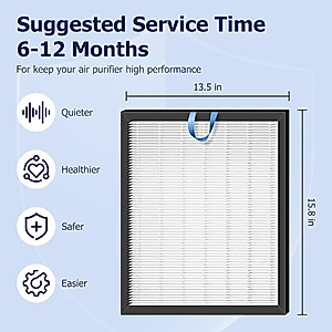 Vital 200S Replacement Filter for LEVOIT Vital 200S and Vital 200S-P Air Purifier, 3-in-1 H13 True HEPA and High-Efficiency Activated Carbon Filter, Vital 200S-RF, LRF-V201-WUS, 2 Pack, White